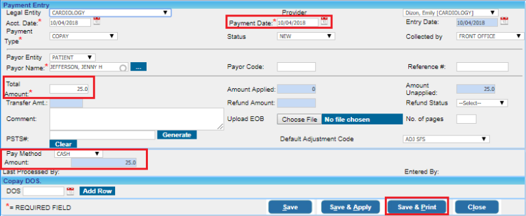 payment-entry-screen | PracticeSuite - Help