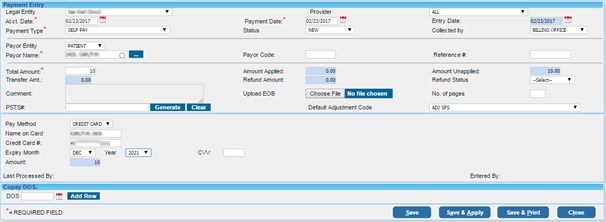 How to add Credit Card Payment from Payment Entry | PracticeSuite - Help